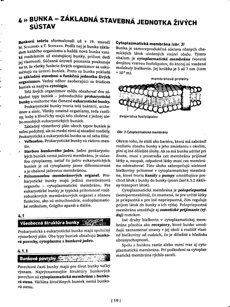 Biológia Bunka | PDF