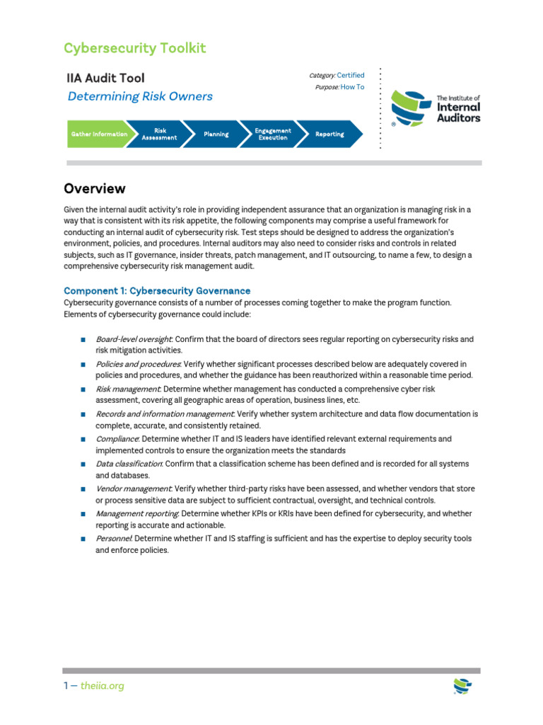 Iia Member Certified Cybersecurity Toolkit | PDF