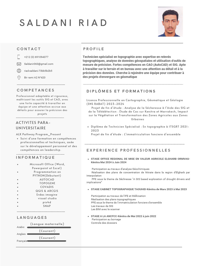 Riad CV | PDF