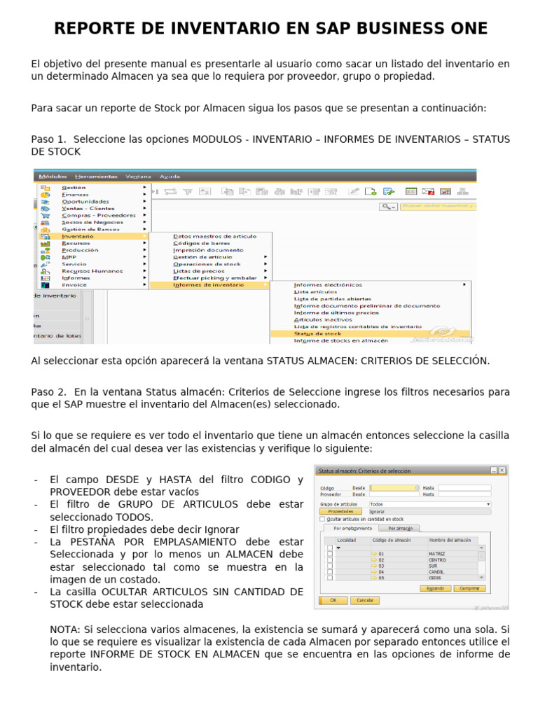 Manual Reporte de Inventarios | PDF