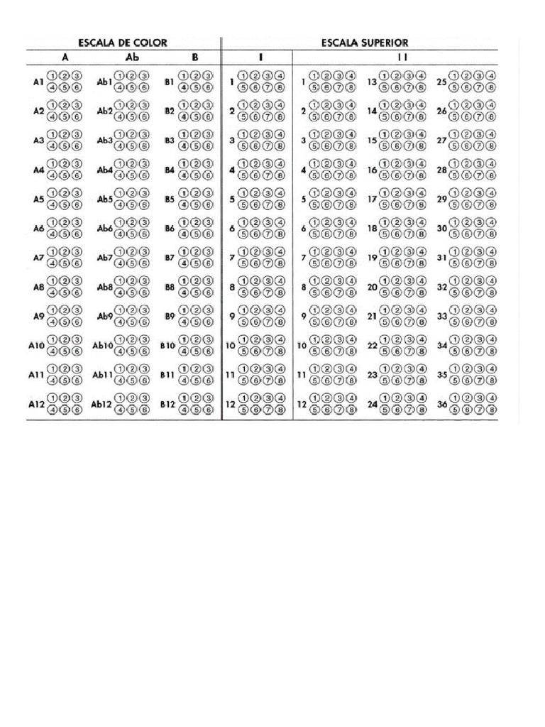 Test de Matrices Progresivas de Raven Escala Coloreada Instrucciones | PDF