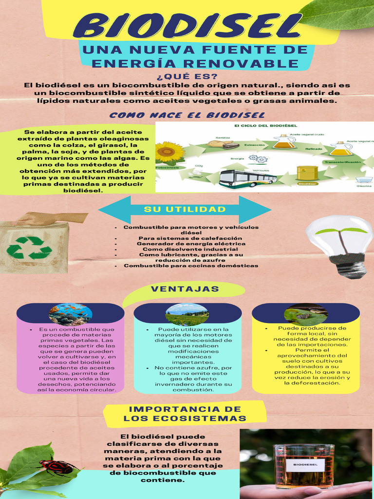 Biodisel | PDF