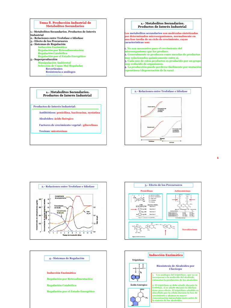 Tema 8 Secundario | PDF