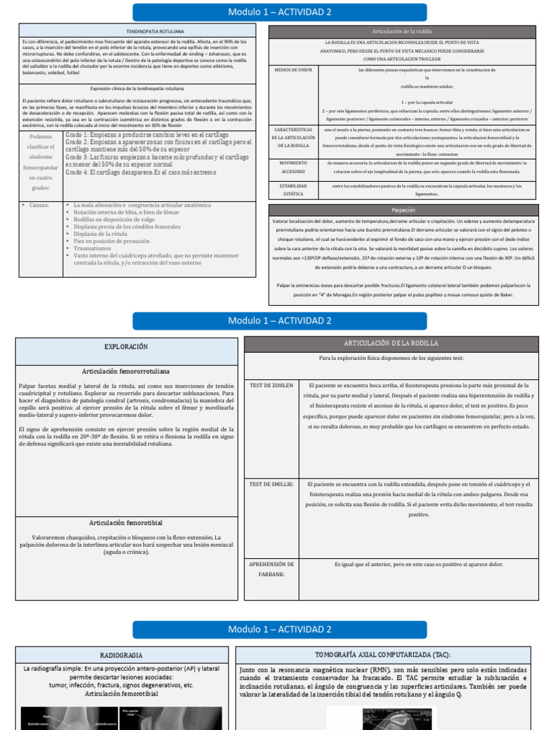 Actividad 2 - Modulo 1 (2) | PDF