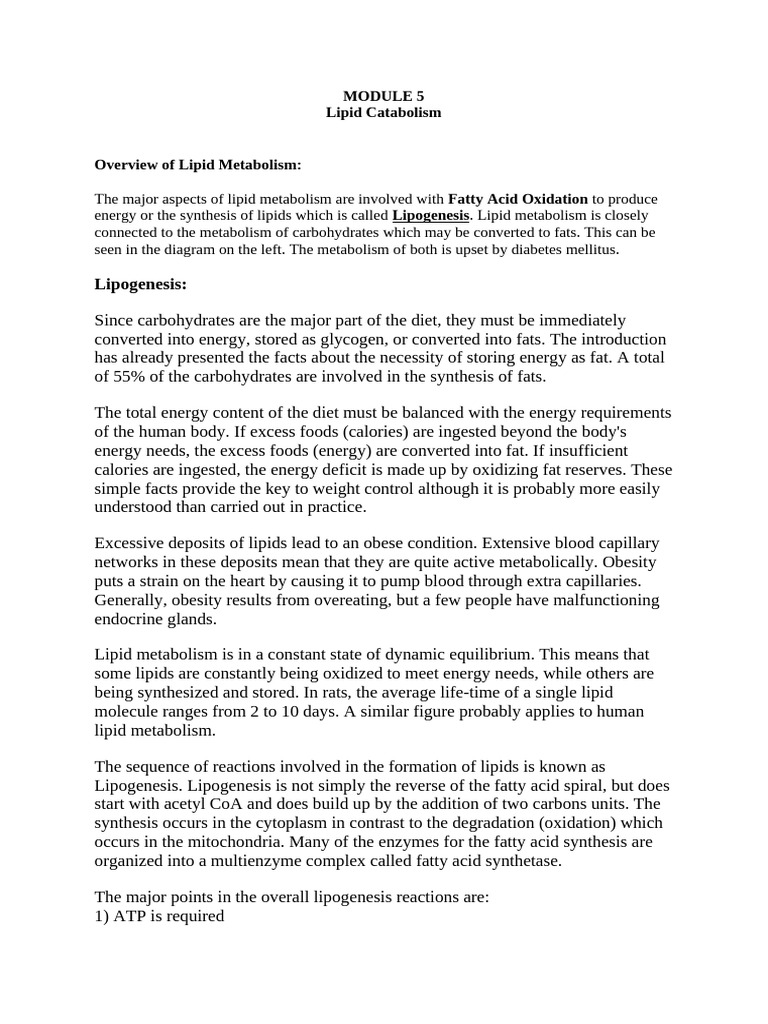 BIOCHEMISTRY MODULE 5 Lipid Catabolism | PDF