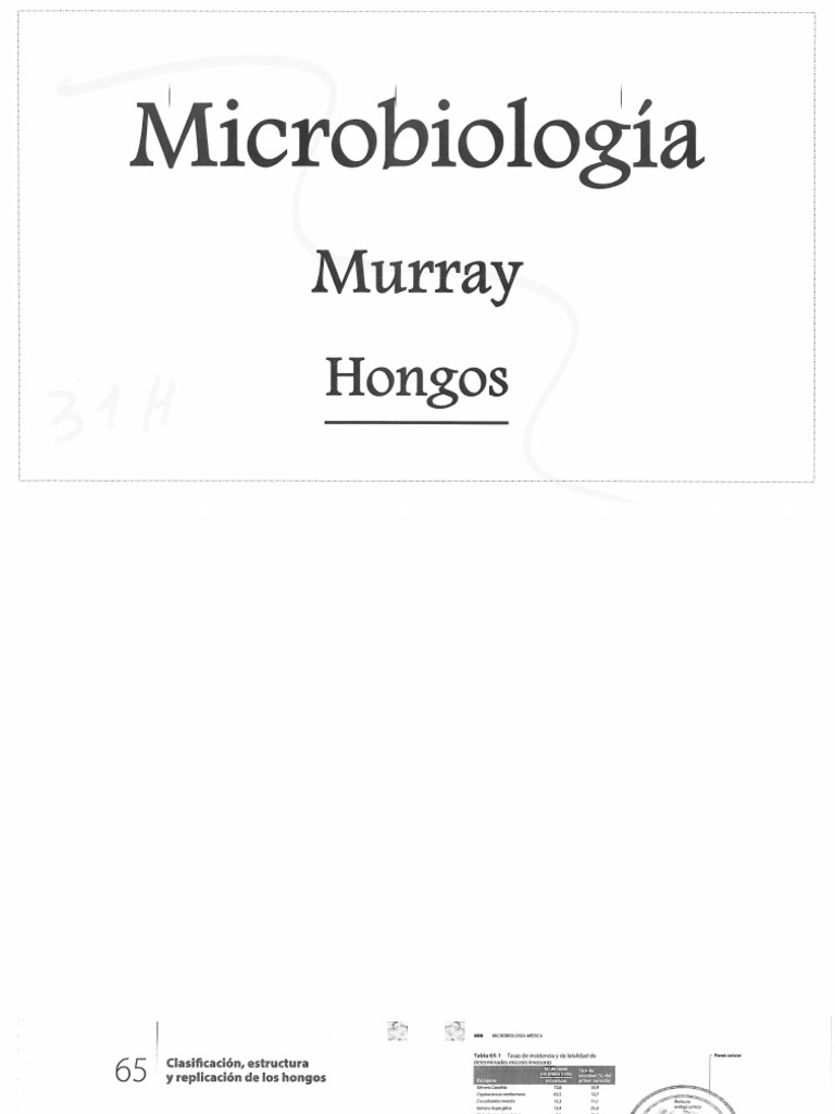 Micro1 Hongos Murray | PDF