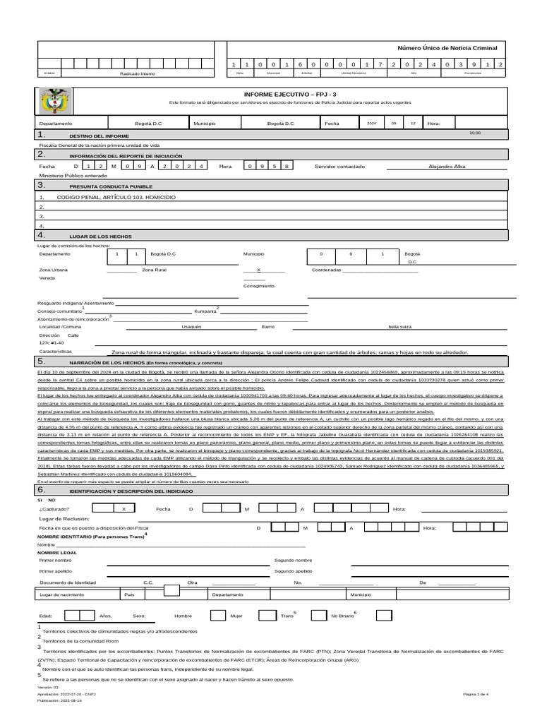 FPJ-3-INFORME-EJECUTIVO-V3 | PDF