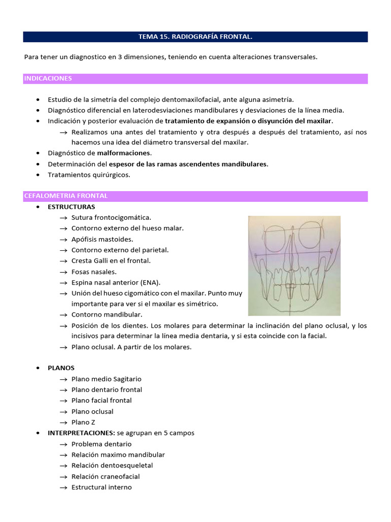 t15 RX Frontal | PDF