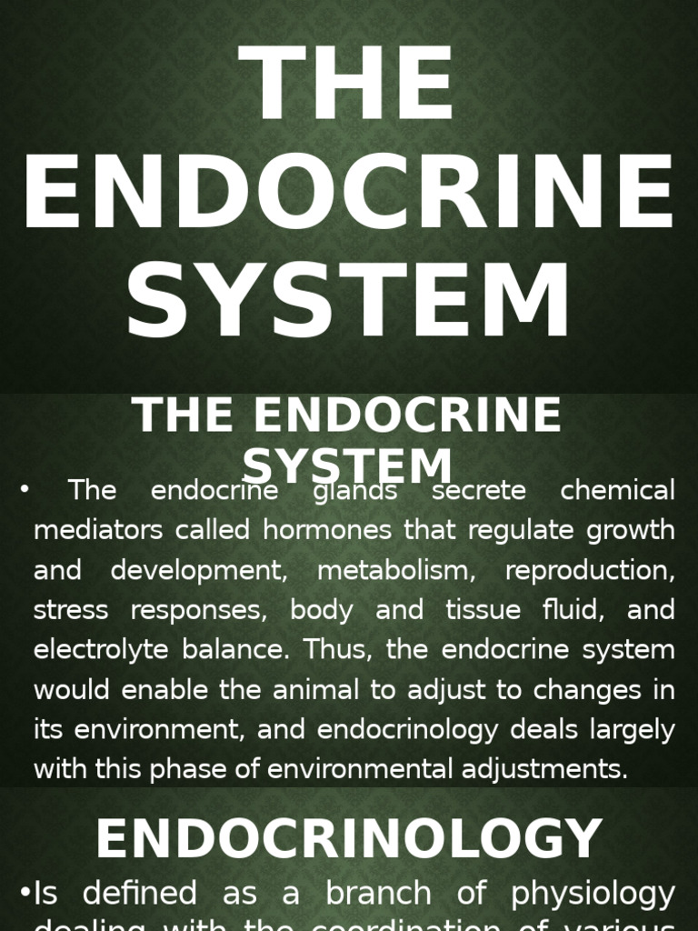 THE ENDOCRINE SYSTEMs | PDF
