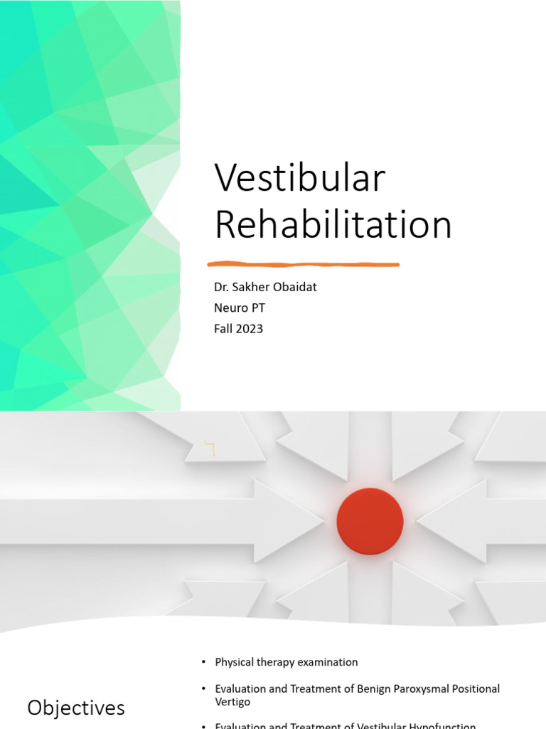 Vestibular System and Dizziness.. Neuro PT | PDF