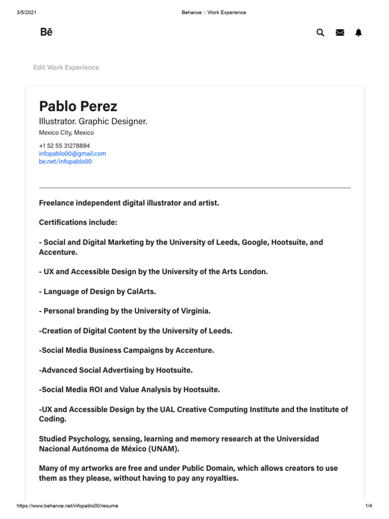 Behance - Work Experience | PDF