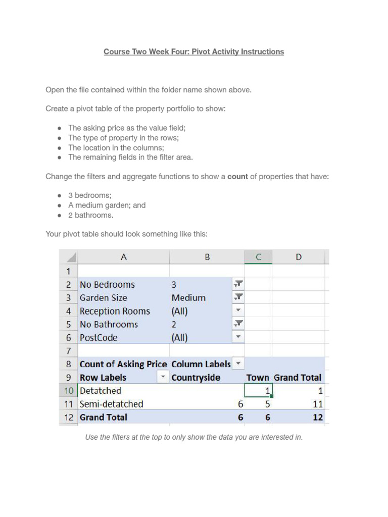 Property Portfolio Pivot Activity Instructions.docx | PDF