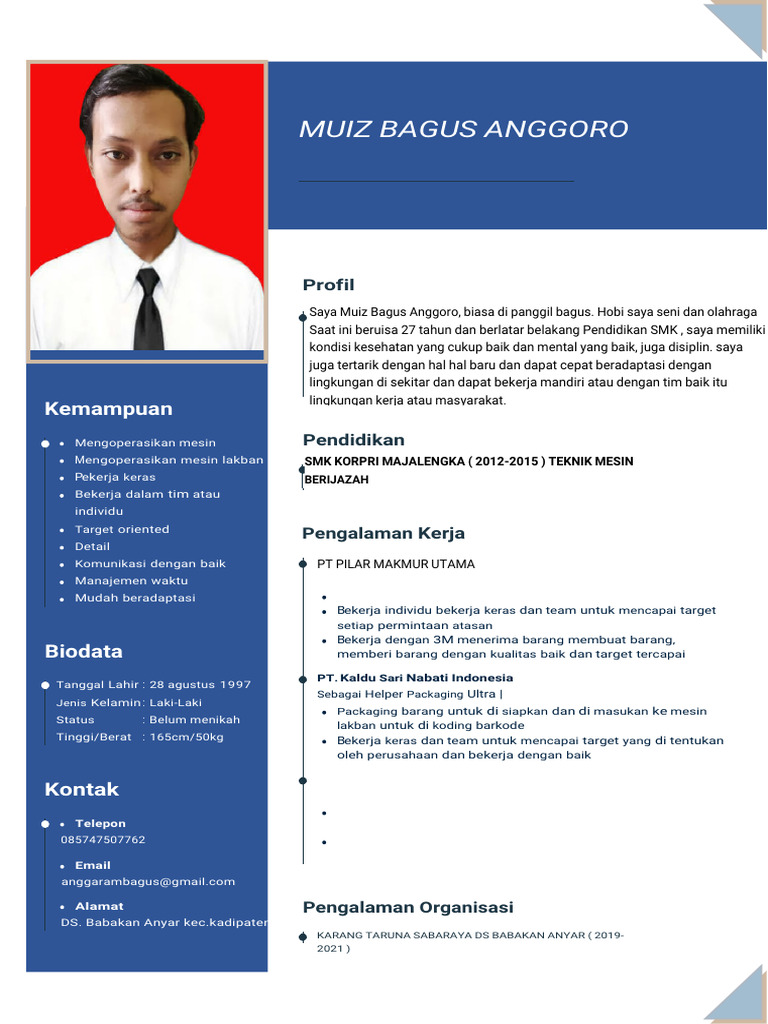 CV BGS | PDF