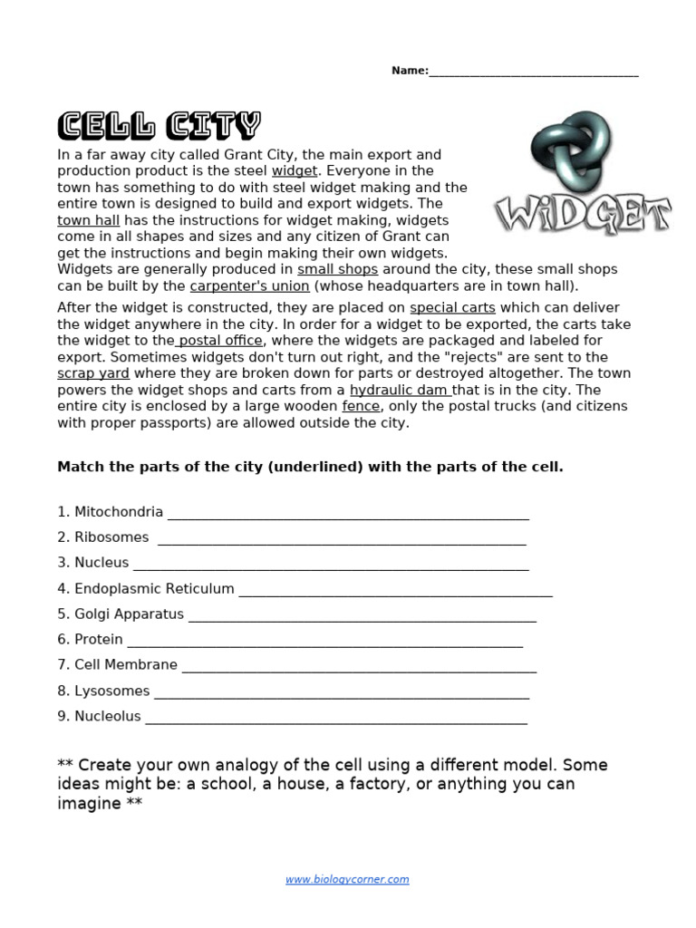 Cell City Analogy | PDF