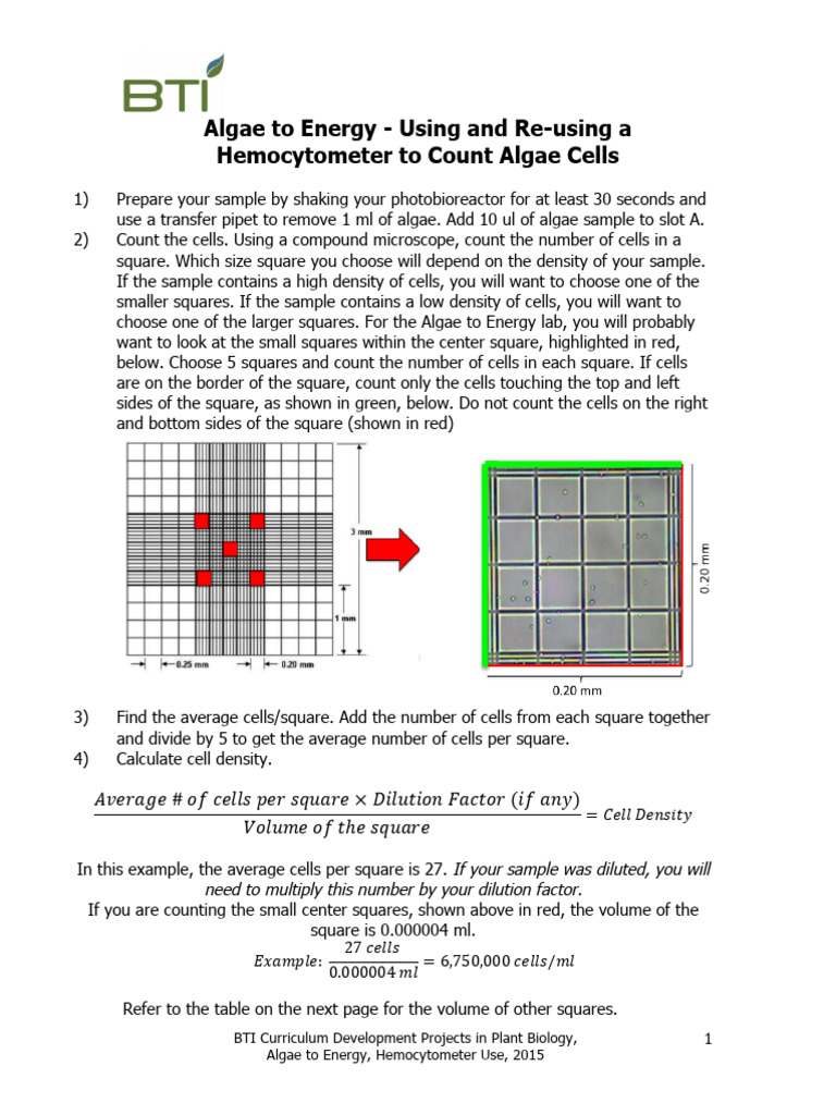 E. Algae To Energy Counting Algae Cells | PDF