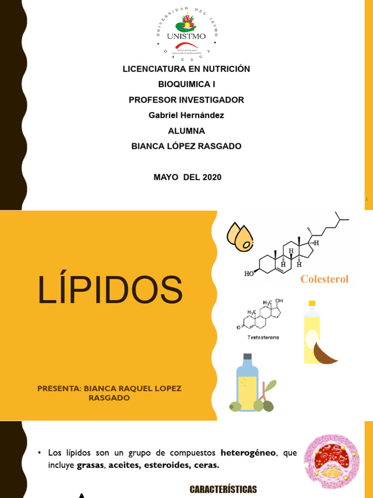 Presentación de Lipidos | PDF