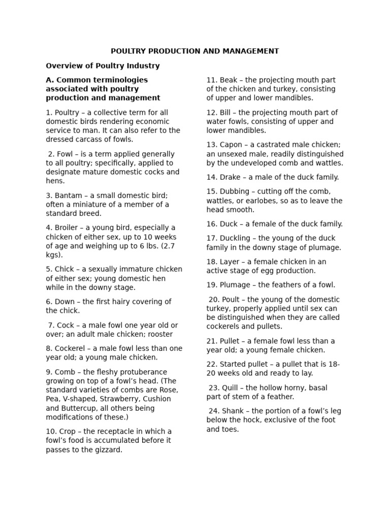 Poultry Production and Management Guide | PDF | Technology & Engineering