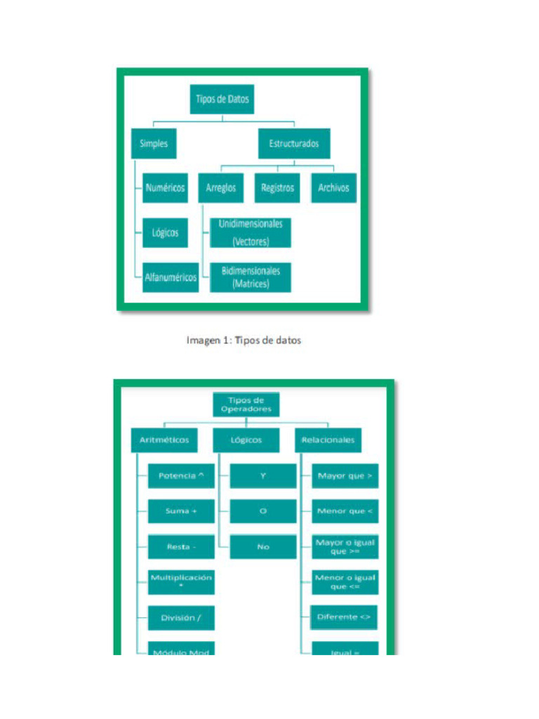Tipos de Datos | PDF