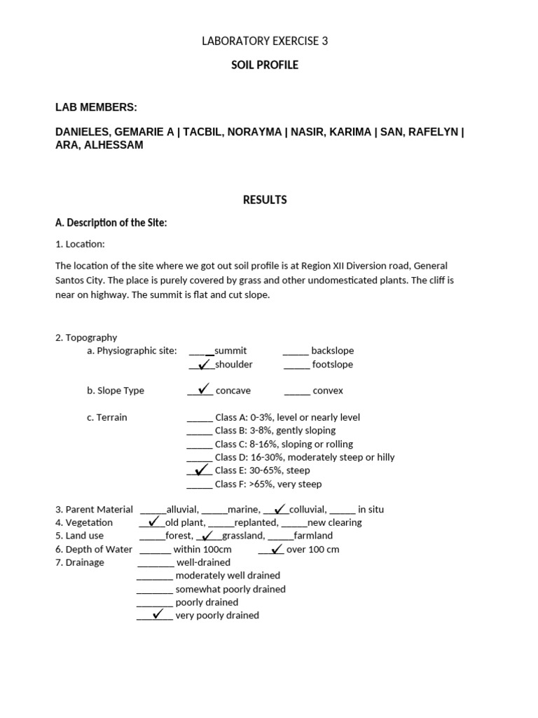 Soil Profile Lab Activity Final | PDF