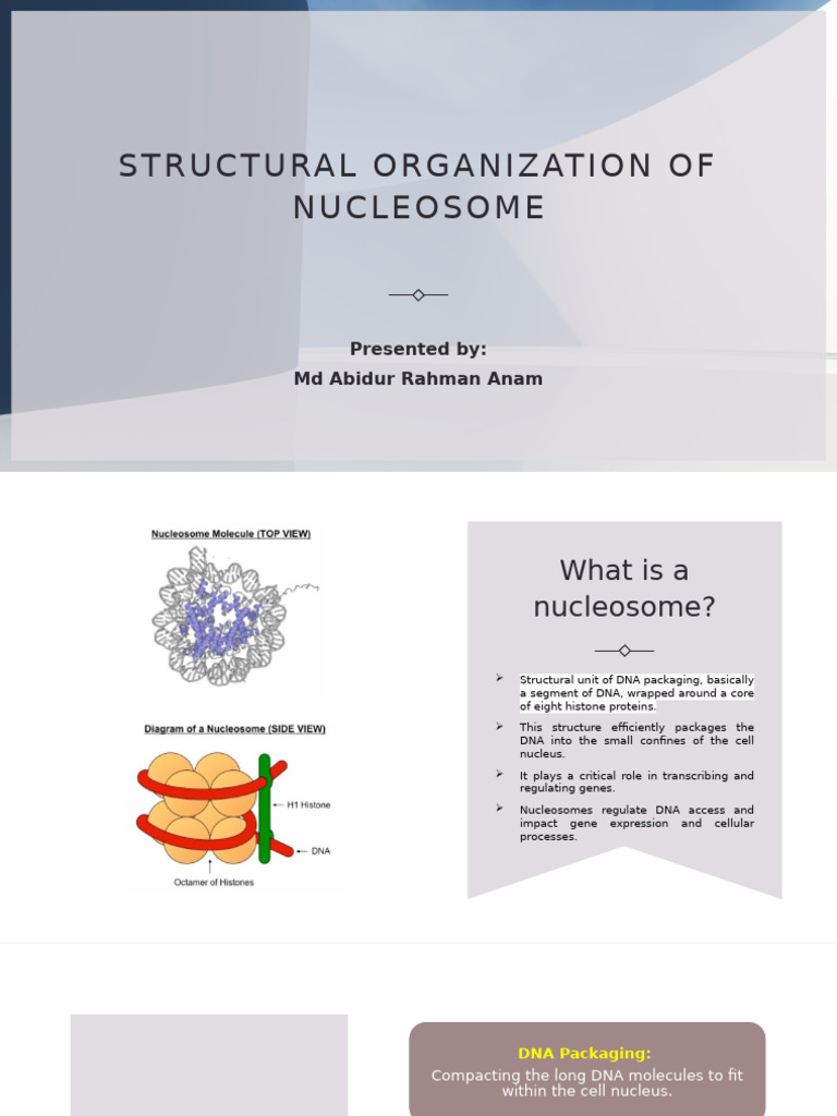 Structural Organization of Nucleosome | PDF