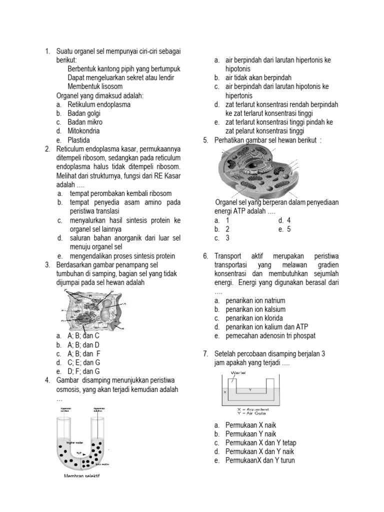 Latihan Soal 2 Sel | PDF