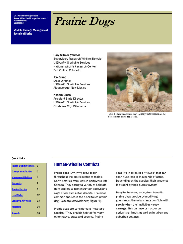 prairie-dogs | PDF