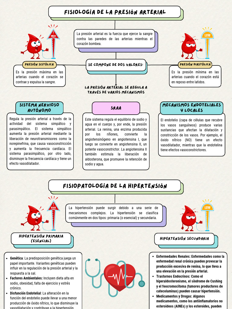 Fisiopatologia HTA | PDF