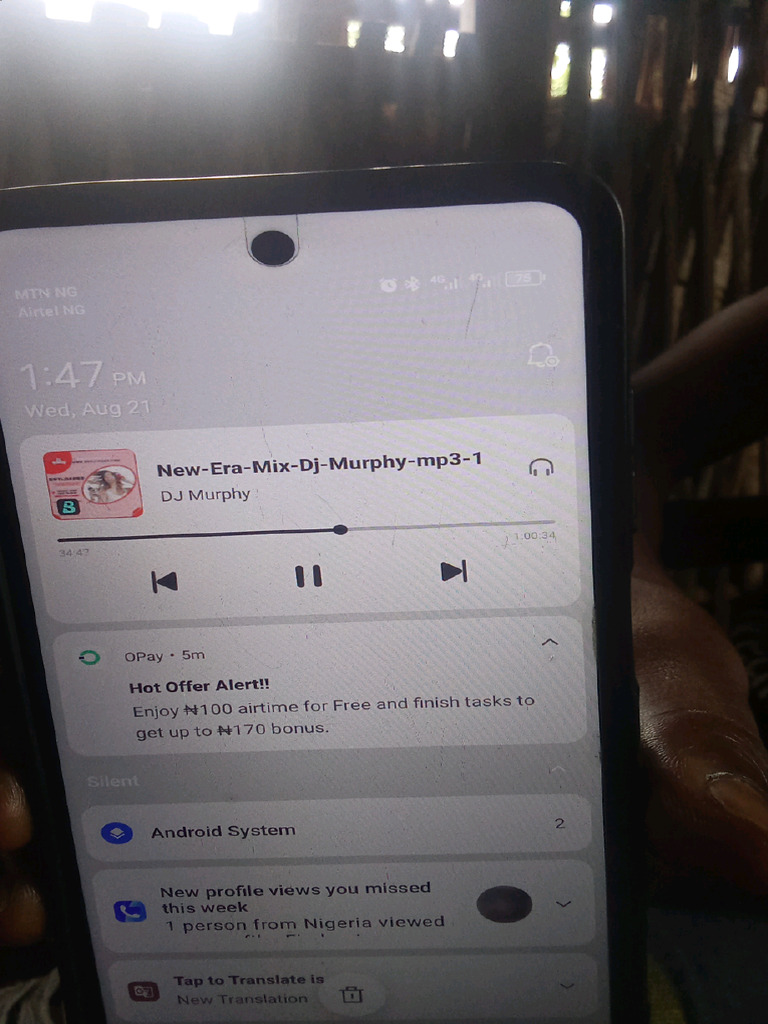 PDF Phoenix 20241017 012914 | PDF