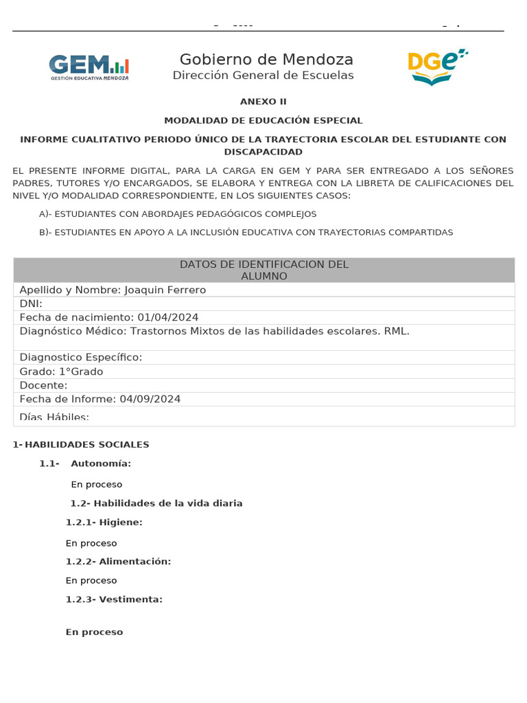 MODELO_INFORME_GEM (1) | PDF