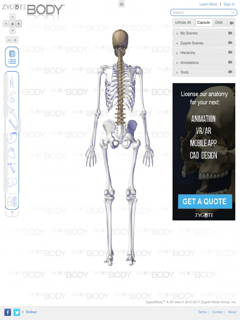 Zygote Body 3D Anatomy Online Visualizer Human Anatomy 3D | PDF