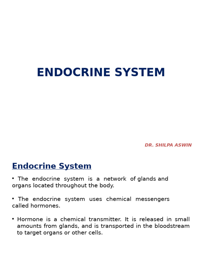 Endocrine System | PDF