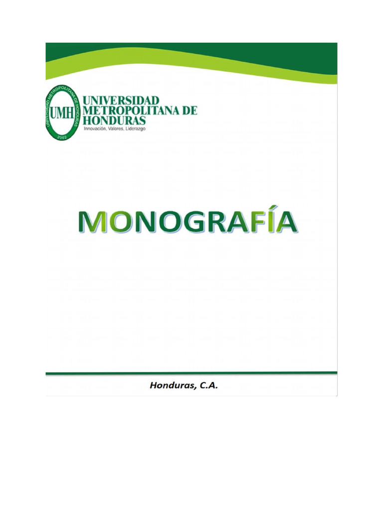 Monografía Nuevo Documento 12-10-24 (2) - 2 | PDF