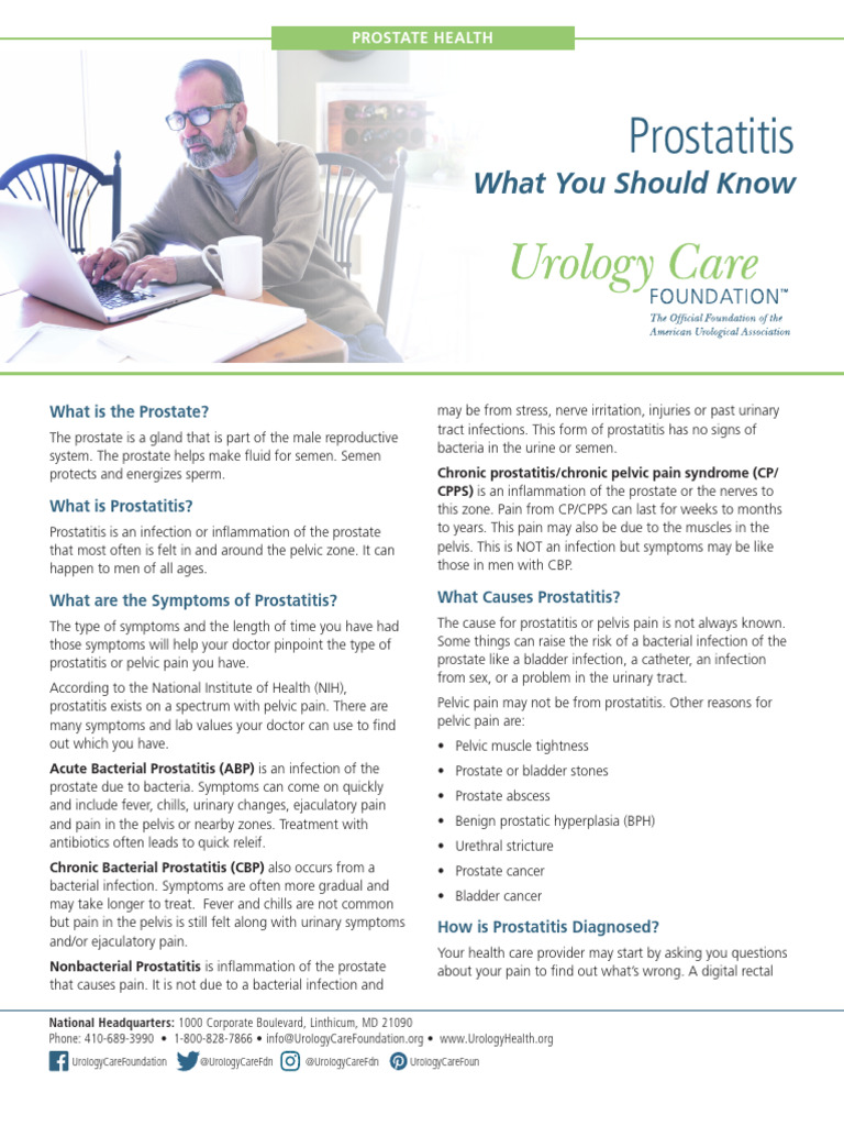 Prostatitis Fact Sheet | PDF