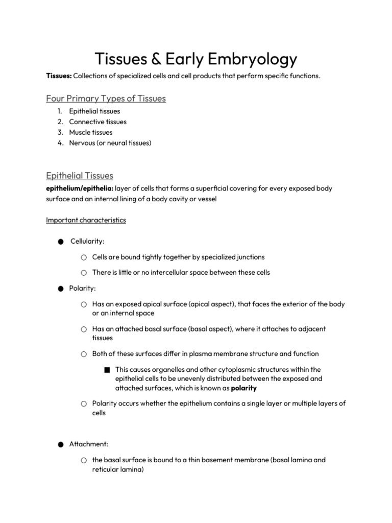 Tissues & Early Embryology | PDF