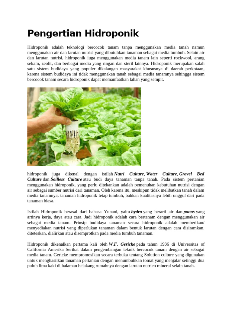 Pengertian Hidroponik | PDF | Teknologi & Rekayasa