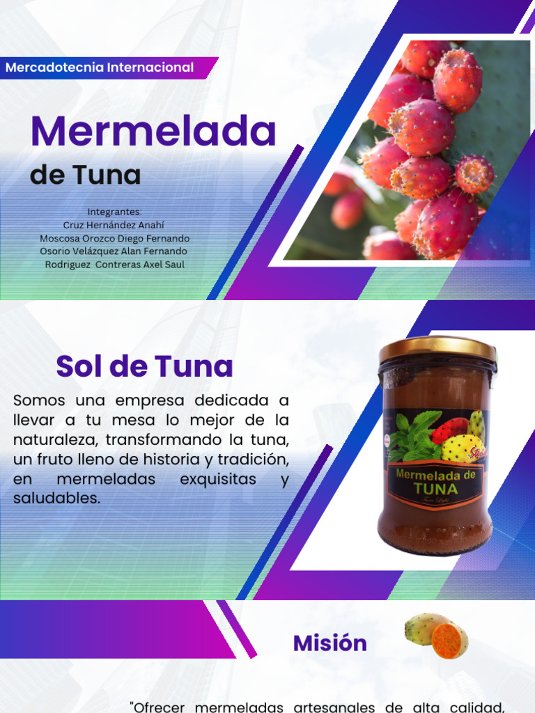Equipo 6 Sol de Tuna PDF | PDF
