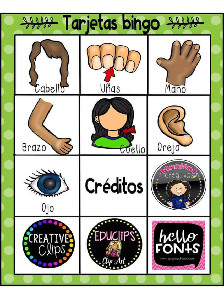 Bingo Cuerpo Humano | PDF