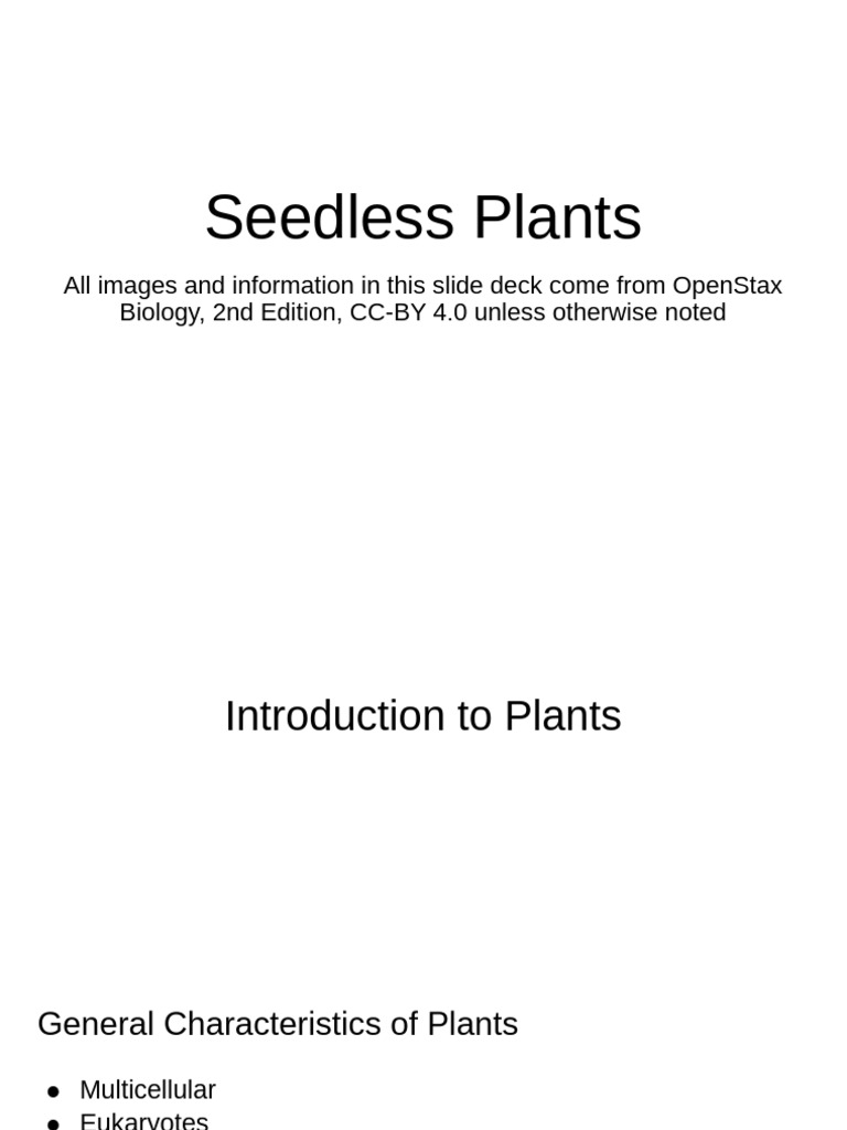 Seedless Plants | PDF