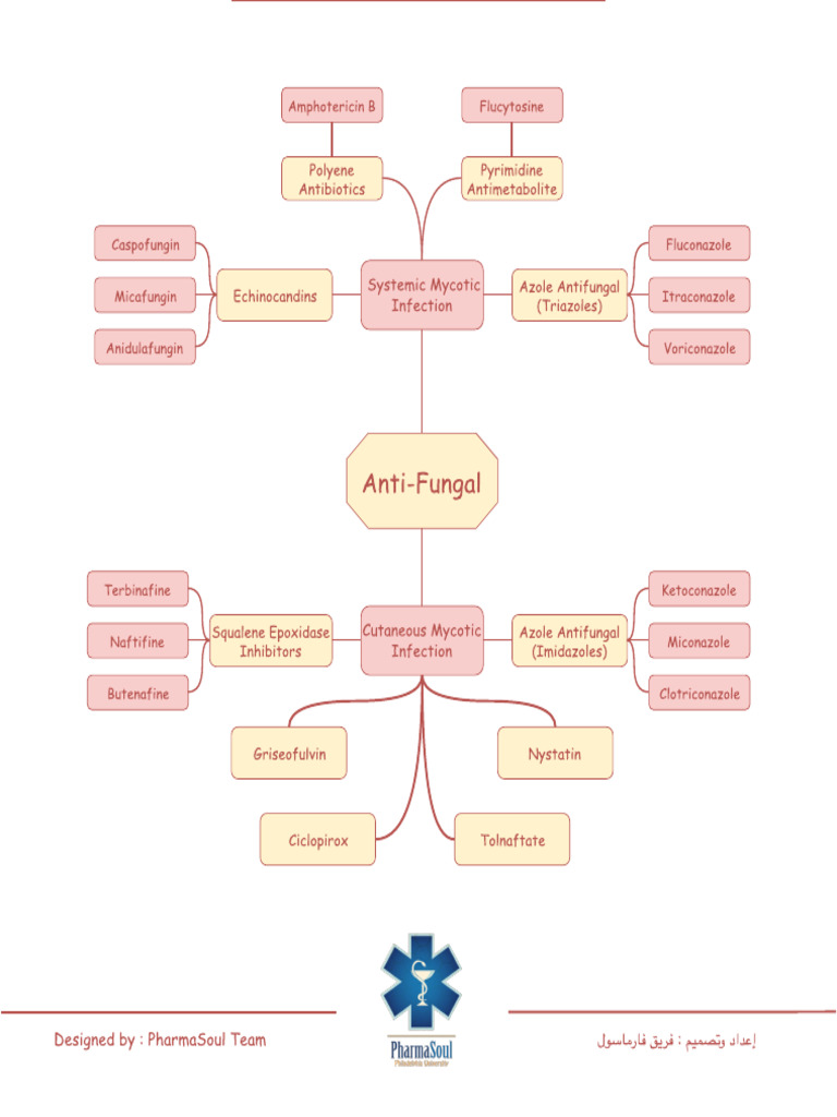 Chart Anti - Fungal | PDF