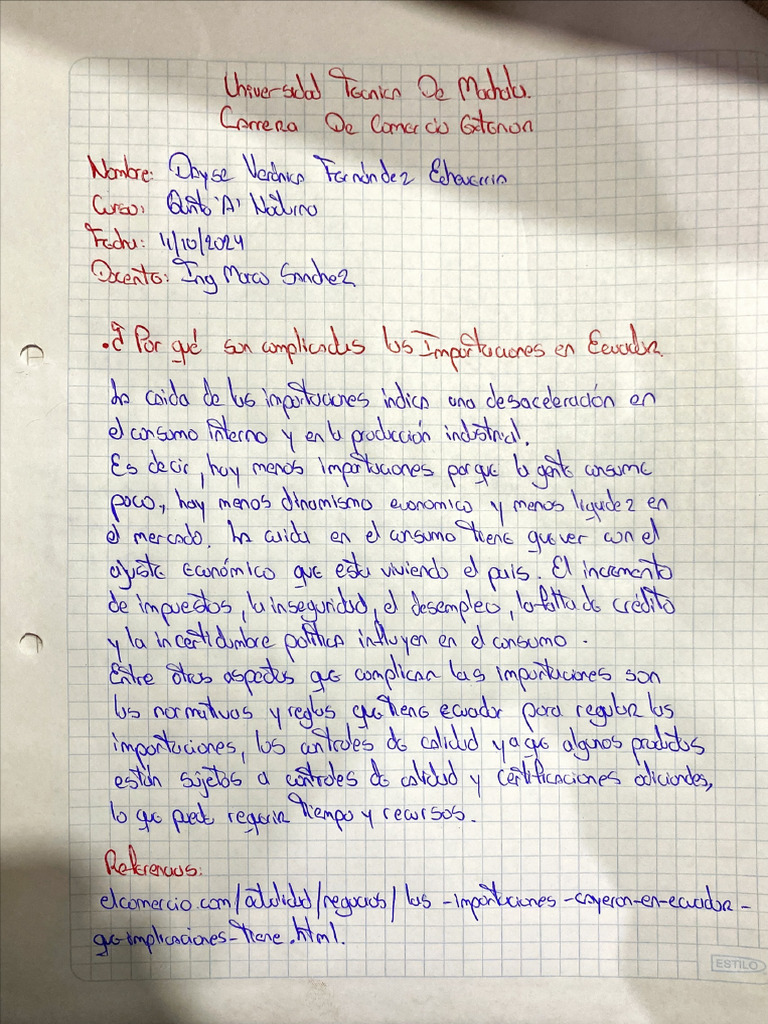 Por Que Son Complicadas Las Importaciones - Dayse Fernandez | PDF