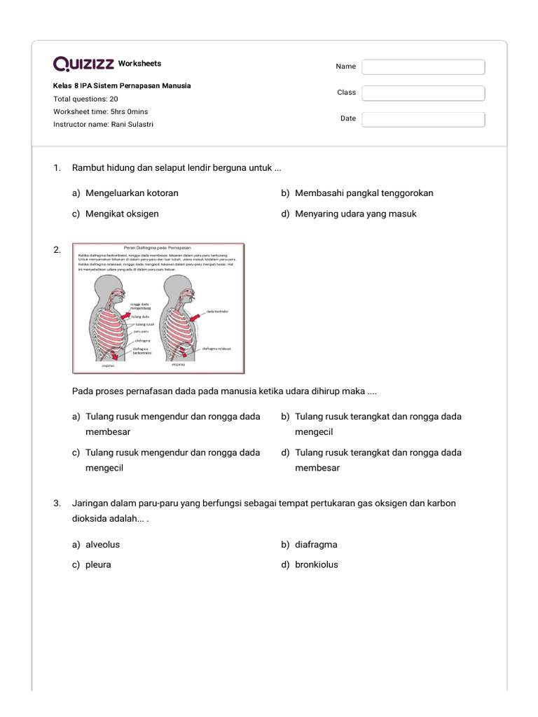 Kelas 8 IPA Sistem Pernapasan Manusia - Quizizz | PDF