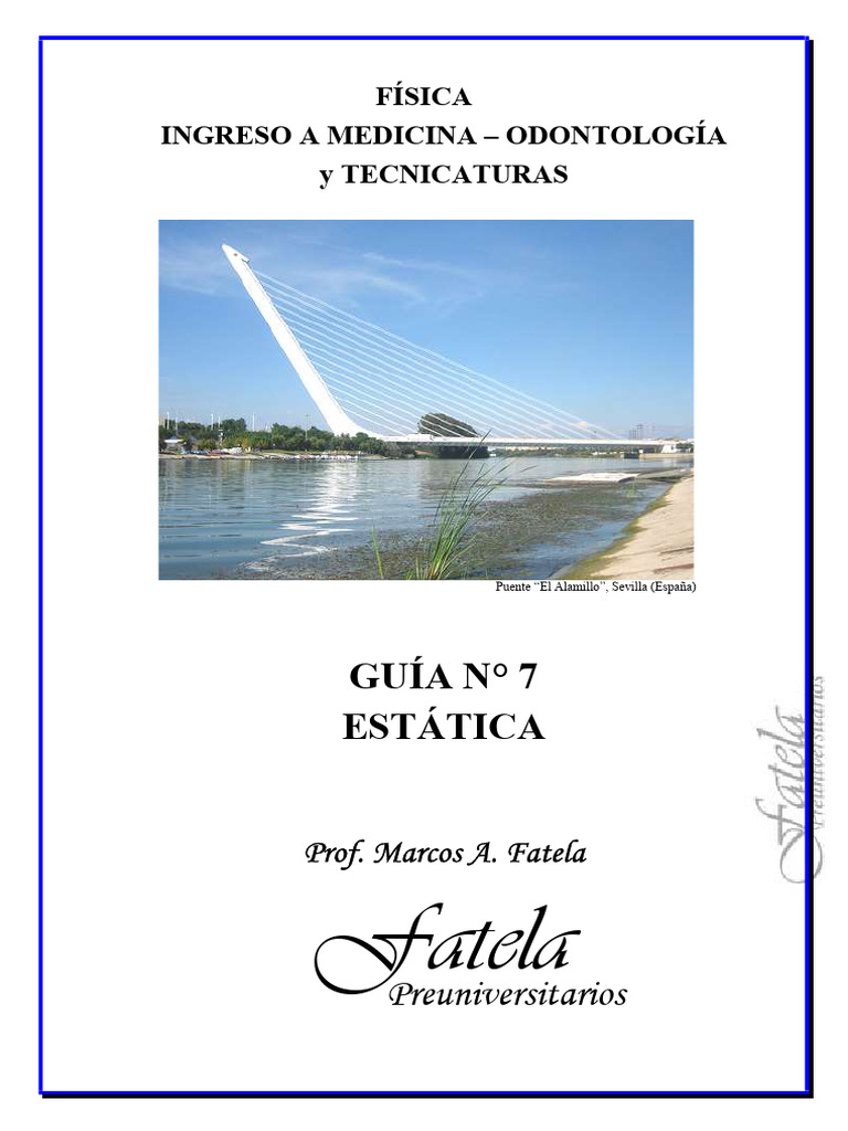 ESTATICA | PDF
