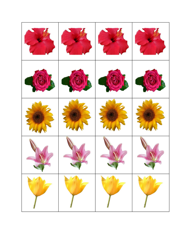 Explorace Merdeka | PDF