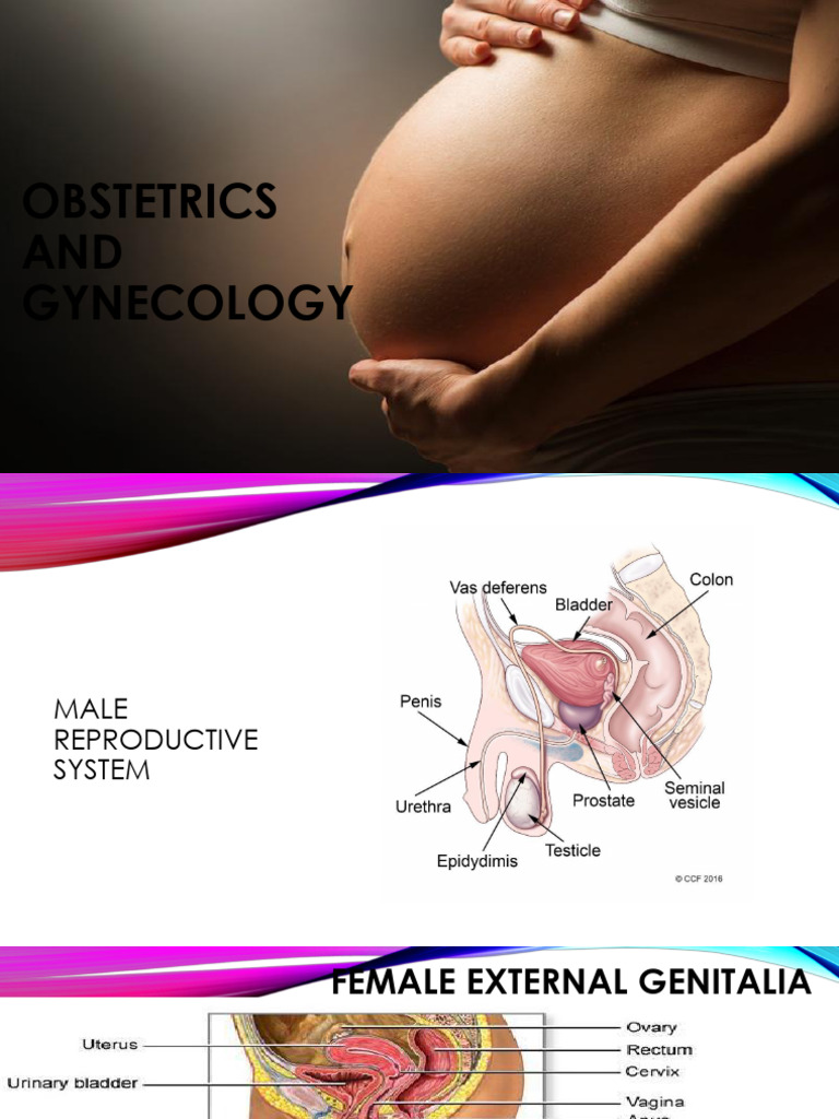 Mr. Balano - OB Lect Part 1 (Level 3) | PDF