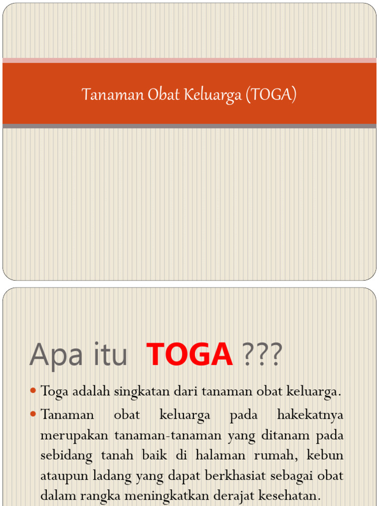 408812464 278910726 PPT Tanaman Obat Keluarga TOGA Pptx | PDF