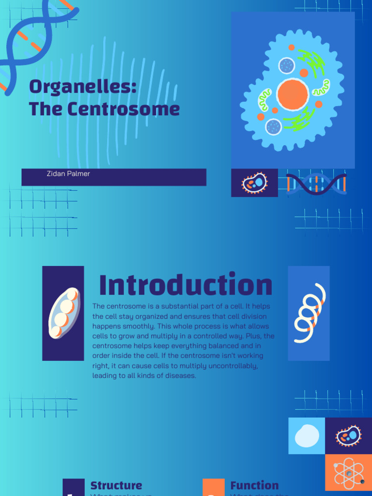 The Centrosome | PDF