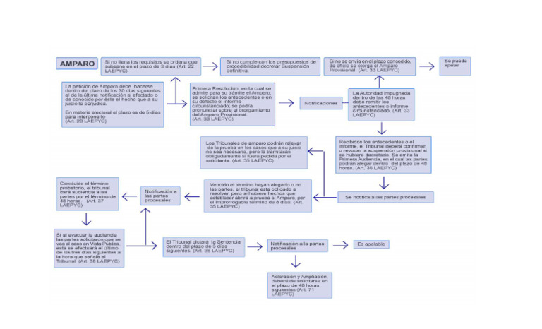 Esquema Del Amparo W | PDF
