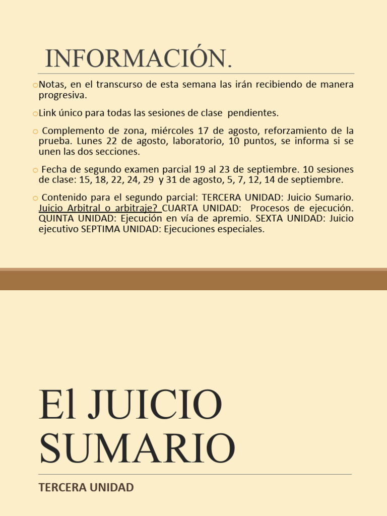 El Juicio Sumario | PDF