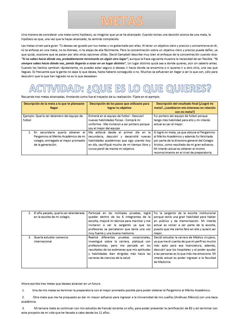 Actividad Metas Guadalupe Isabel Caire Campos 502 | PDF