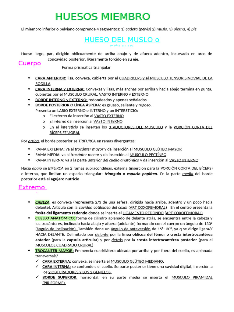 Resumen Anato 4 (Miembro Inferior) | PDF